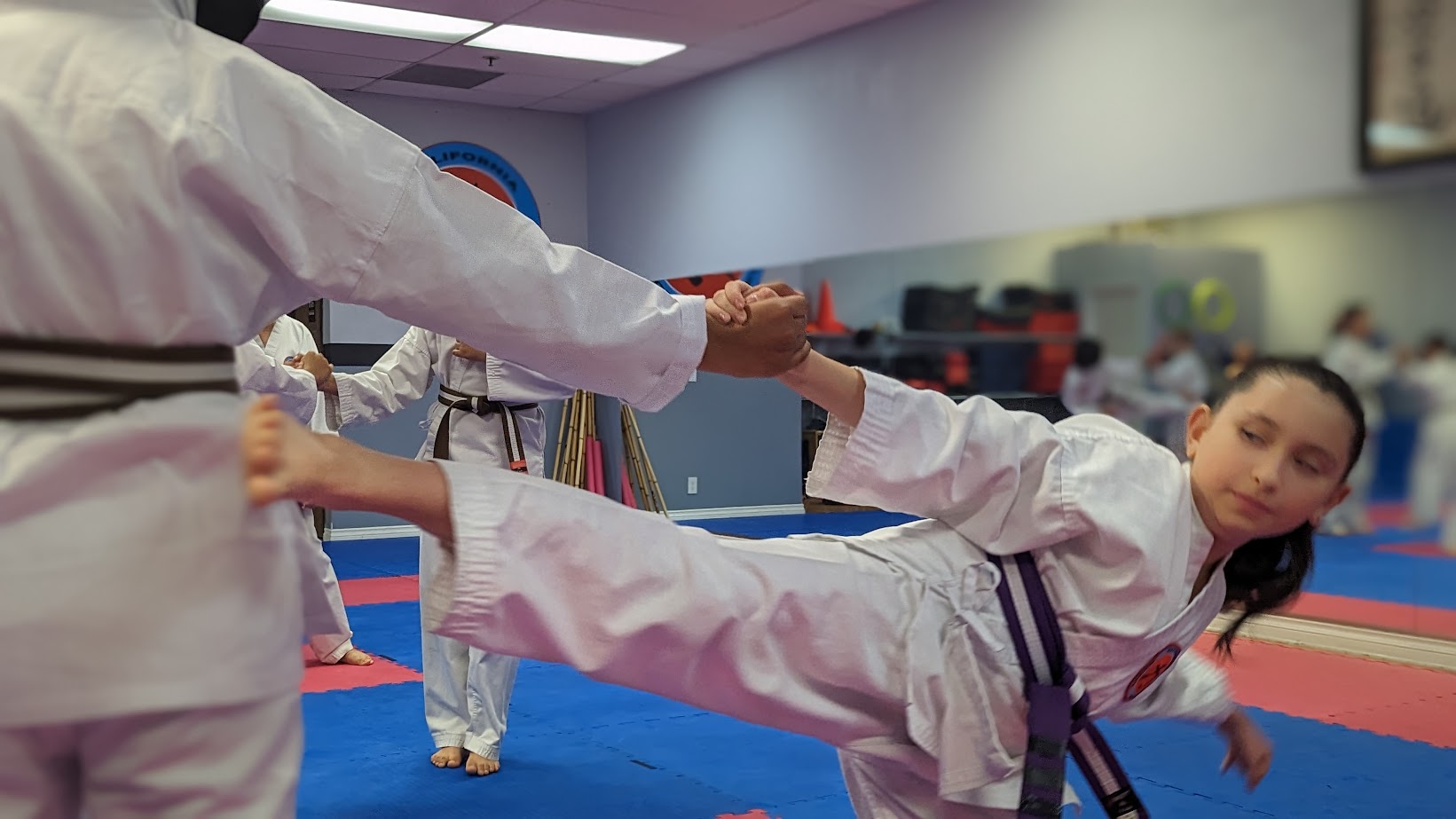 Karate Classes - California Karate